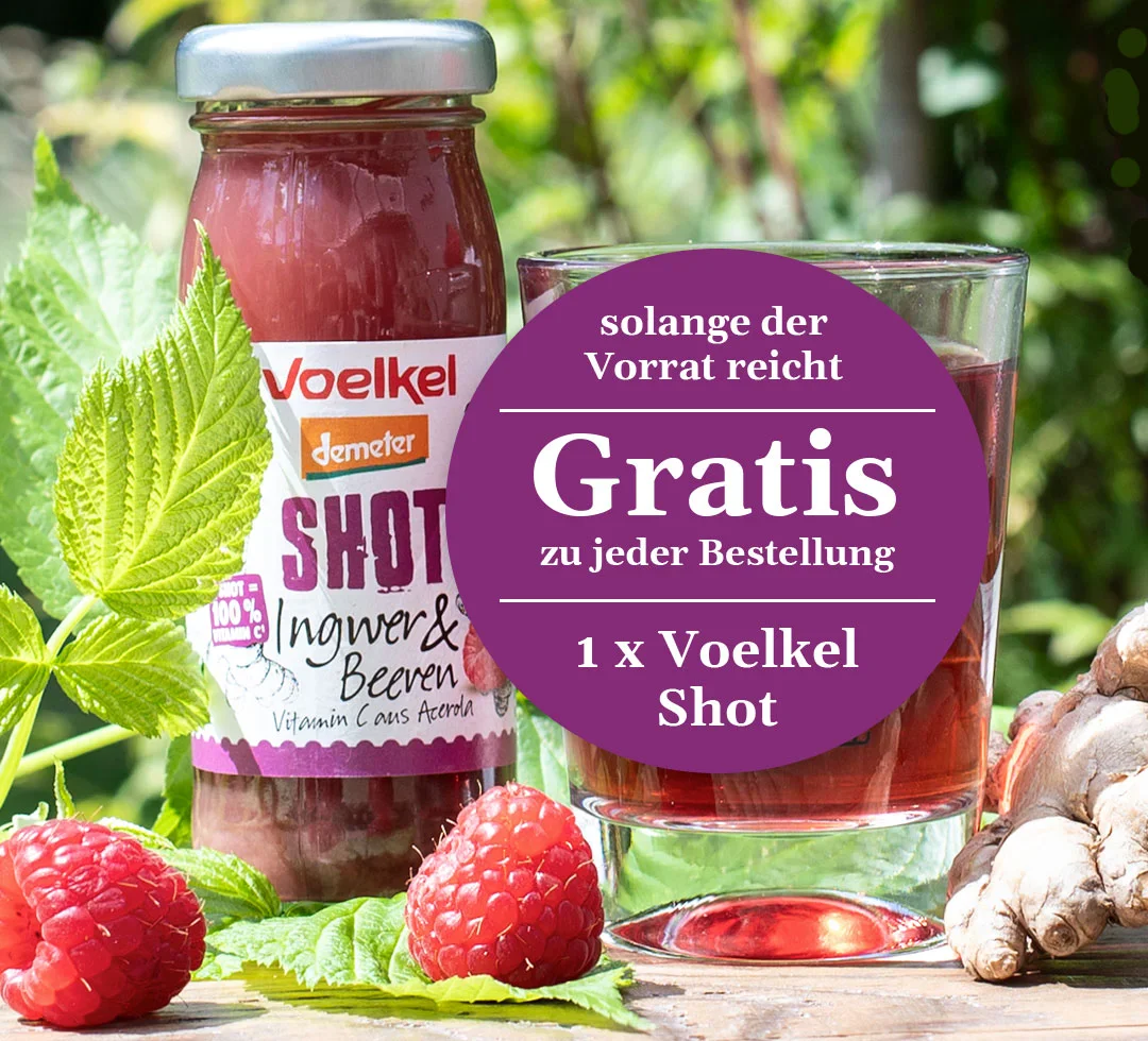 Hochwertige Premium Bio Tees kaufen | samova