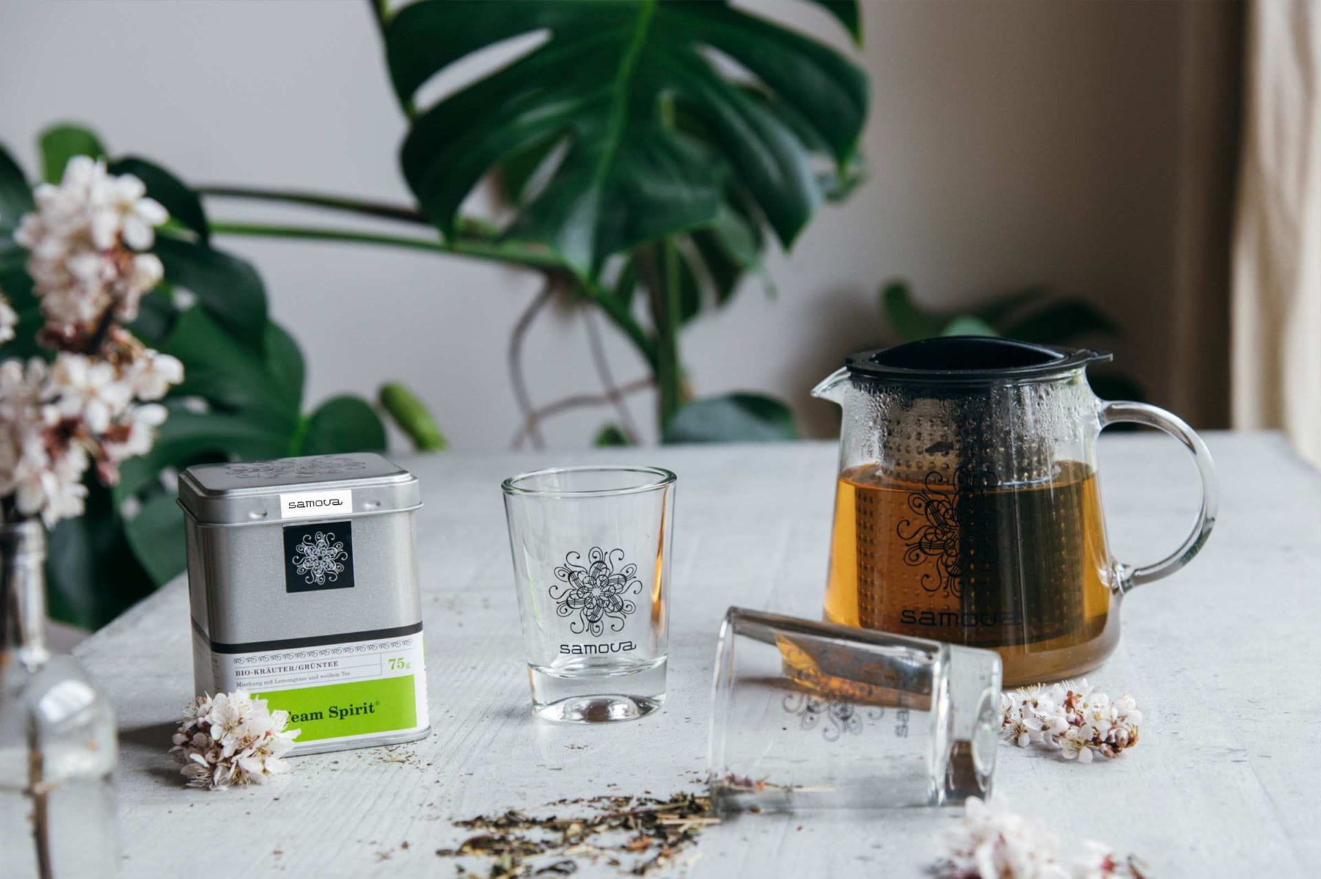 Hochwertige Premium Bio Tees kaufen | samova