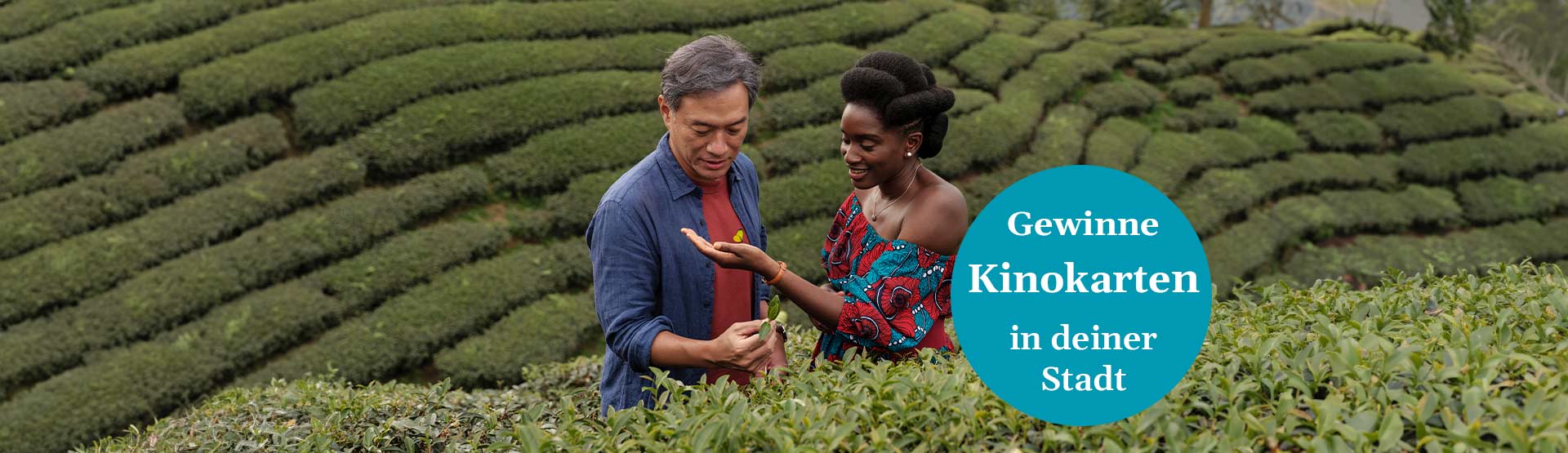 Hochwertige Premium Bio Tees kaufen | samova